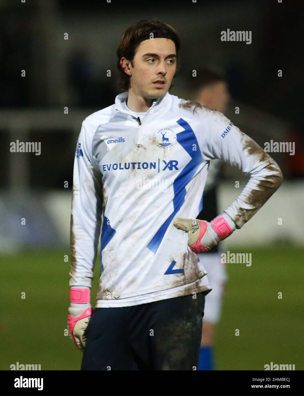 Nicholas bilokapic hi-res stock photography and images - Alamy