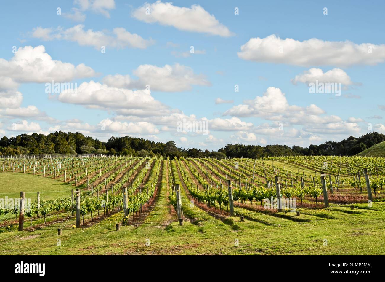 Parakai hi-res stock photography and images - Alamy