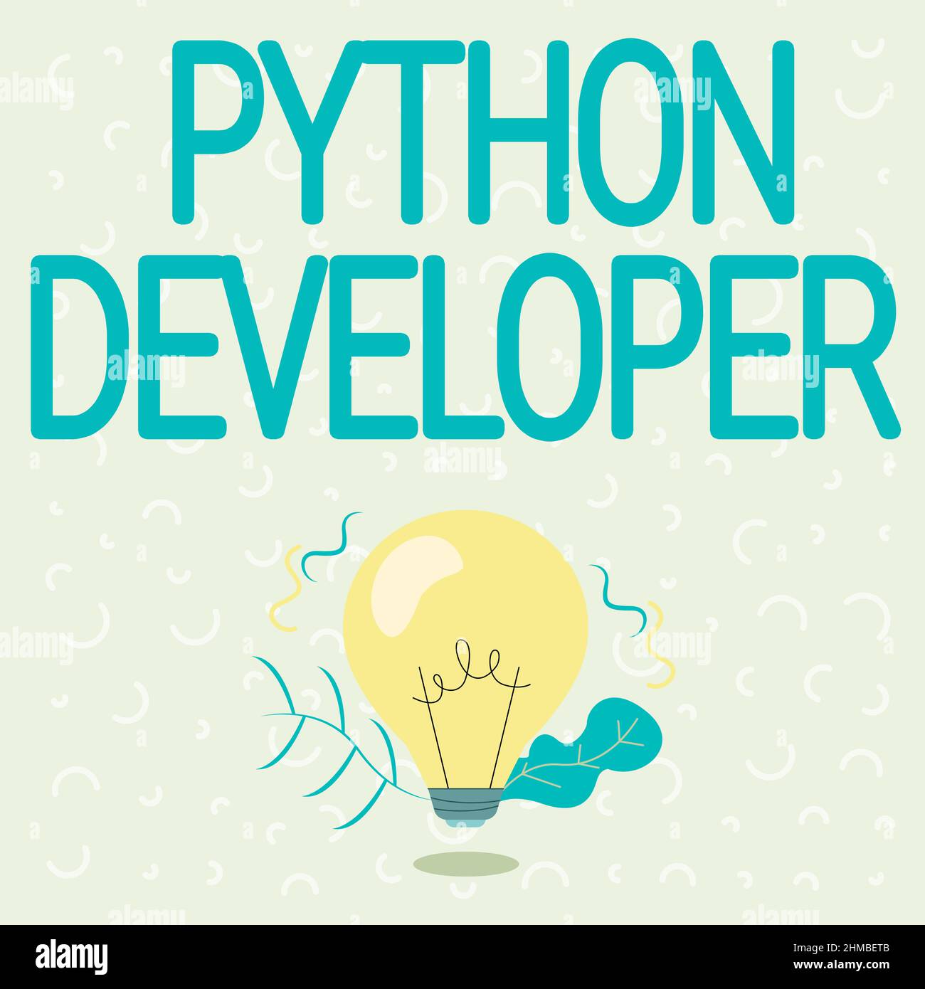 Inspiration showing sign Python Developer. Concept meaning responsible for writing serverside ...