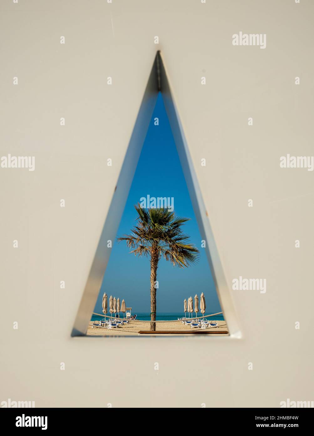 View of palm tree in triangle Stock Photo - Alamy