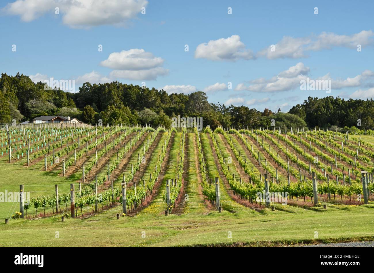 Parakai new zealand hi-res stock photography and images - Alamy