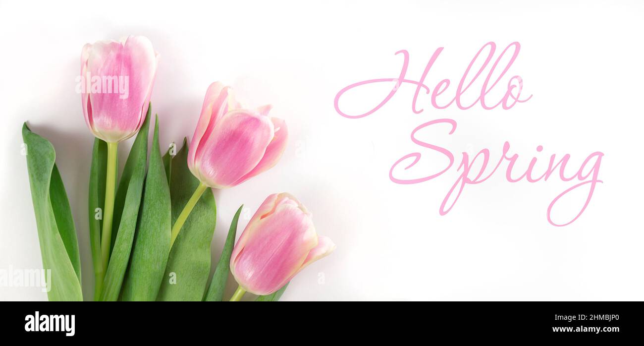 Spring background - spring composition of tulips and the inscription ...
