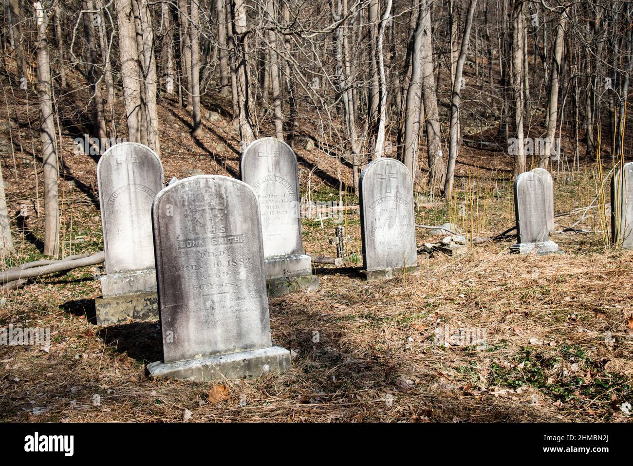 Old gravestones in cemetery Stock Photo - Alamy