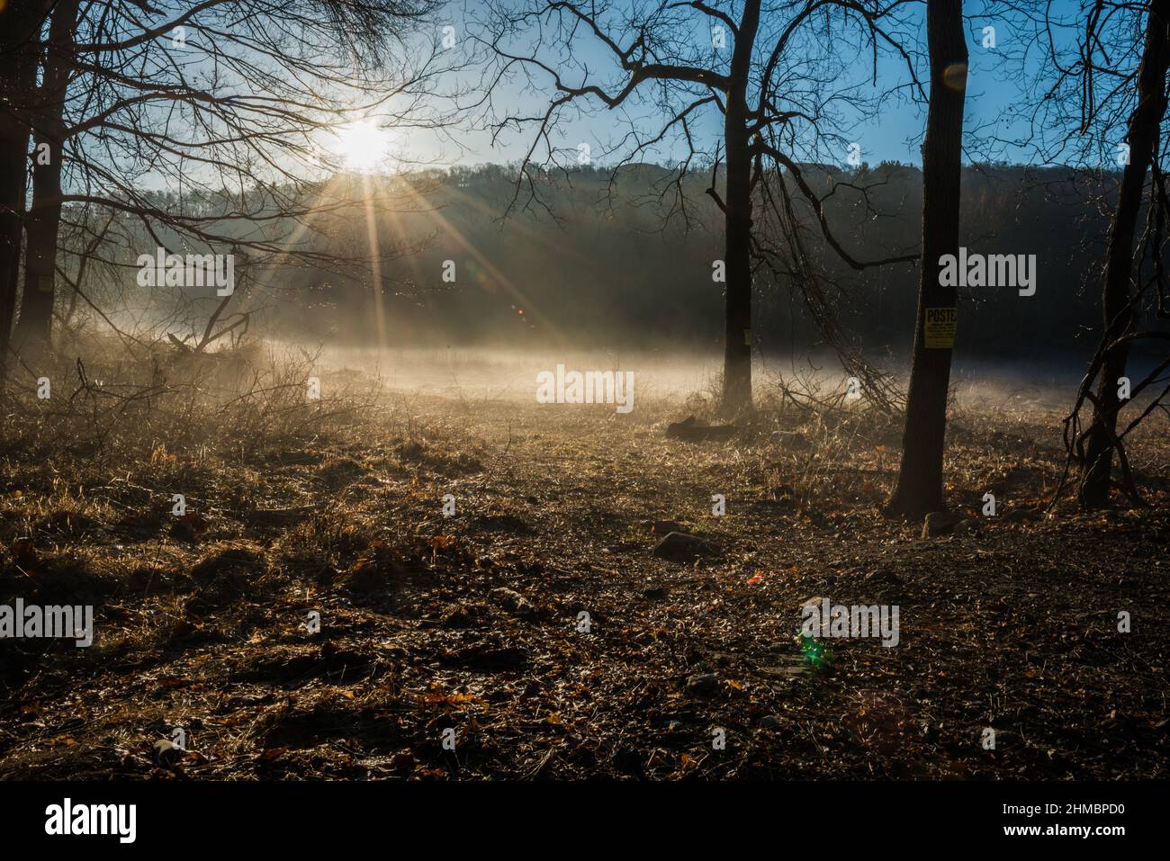 Misty Morning Scenic, sun flare Stock Photo - Alamy
