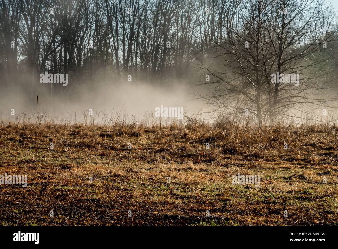 Misty Morning Scenic, sun flare Stock Photo - Alamy