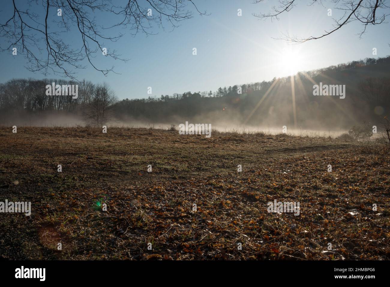Misty Morning Scenic, sun flare Stock Photo - Alamy