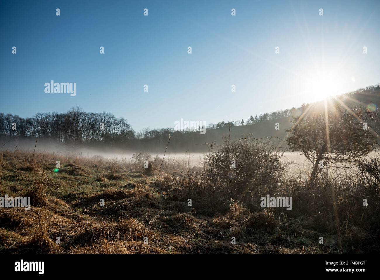 Misty Morning Scenic, sun flare Stock Photo - Alamy