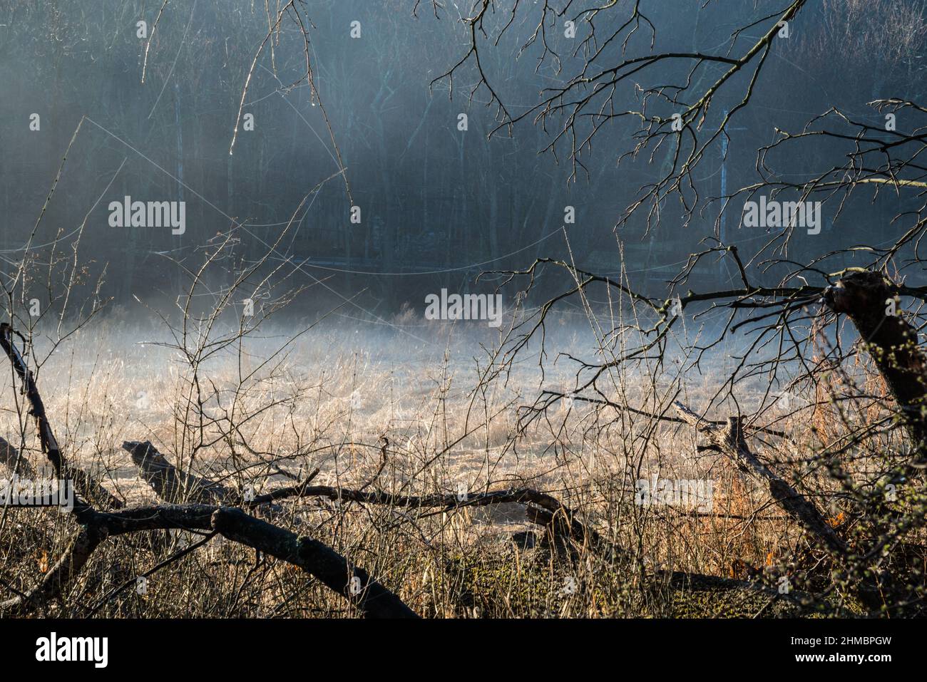 Misty Morning Scenic, sun flare Stock Photo - Alamy