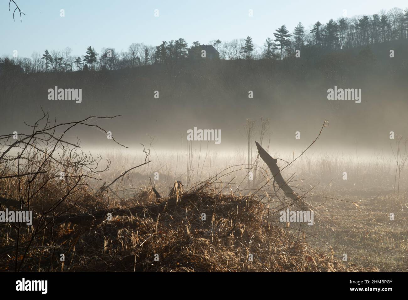Misty Morning Scenic, sun flare Stock Photo - Alamy