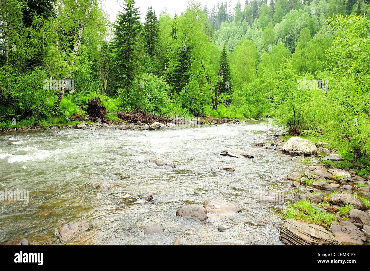 A stormy stream of a small mountain river with a rocky bottom flows ...