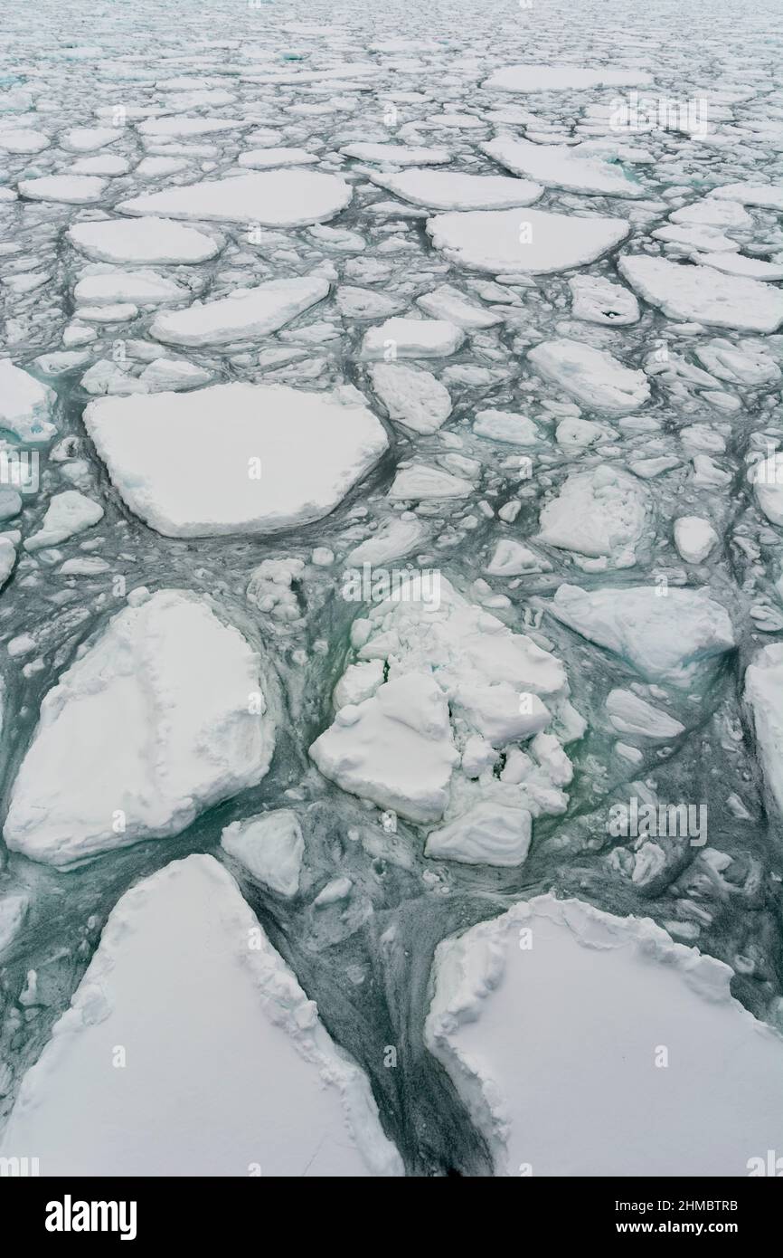 Melting sea ice Stock Photo - Alamy