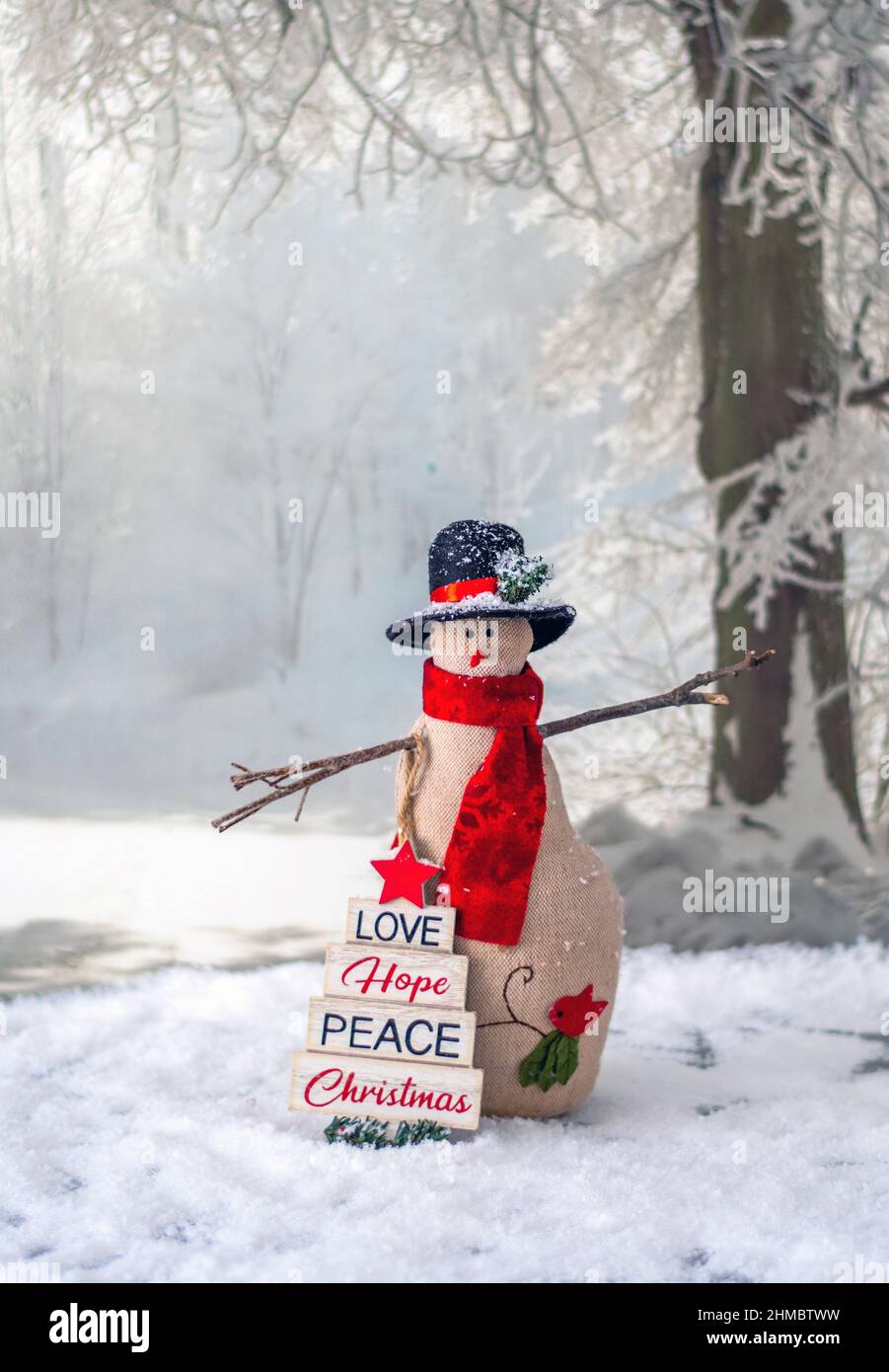 cute toy snowman stands in a snowy woods with a sign saying love, hope ...