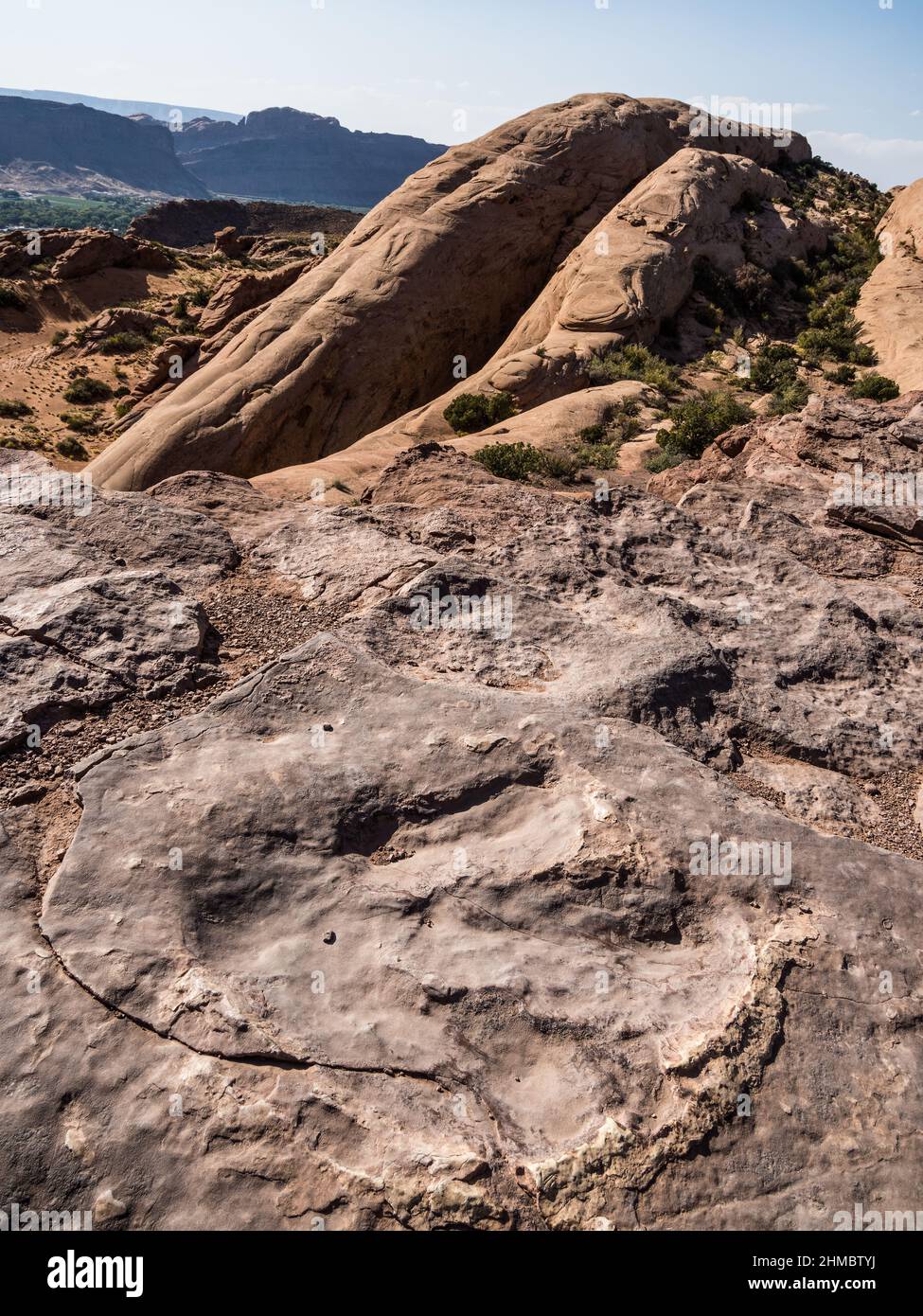 Allosaurus dinosaur tracks, Moab, Utah, USA Stock Photo - Alamy