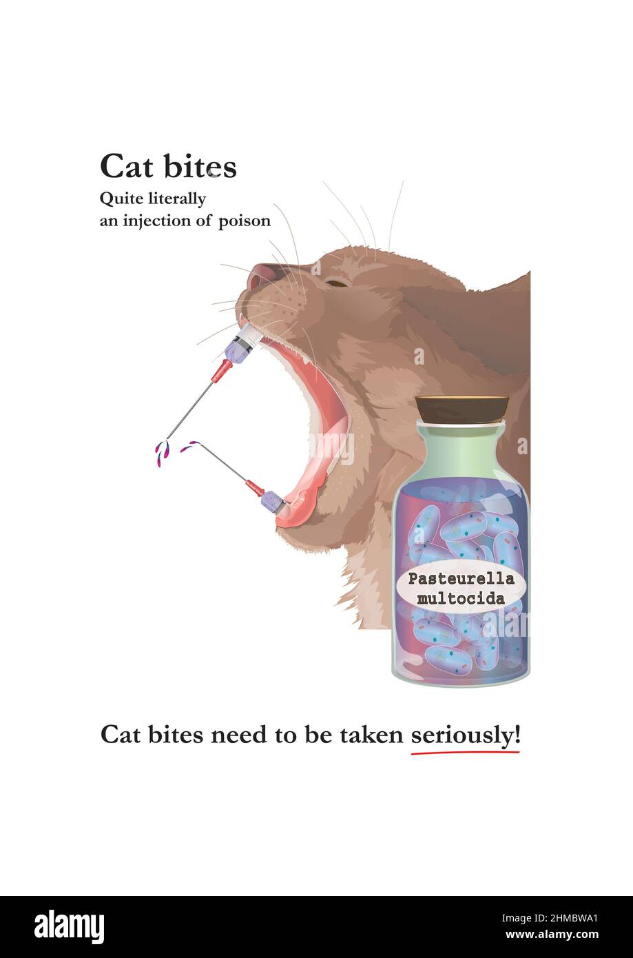Cat bites, illustration Stock Photo - Alamy