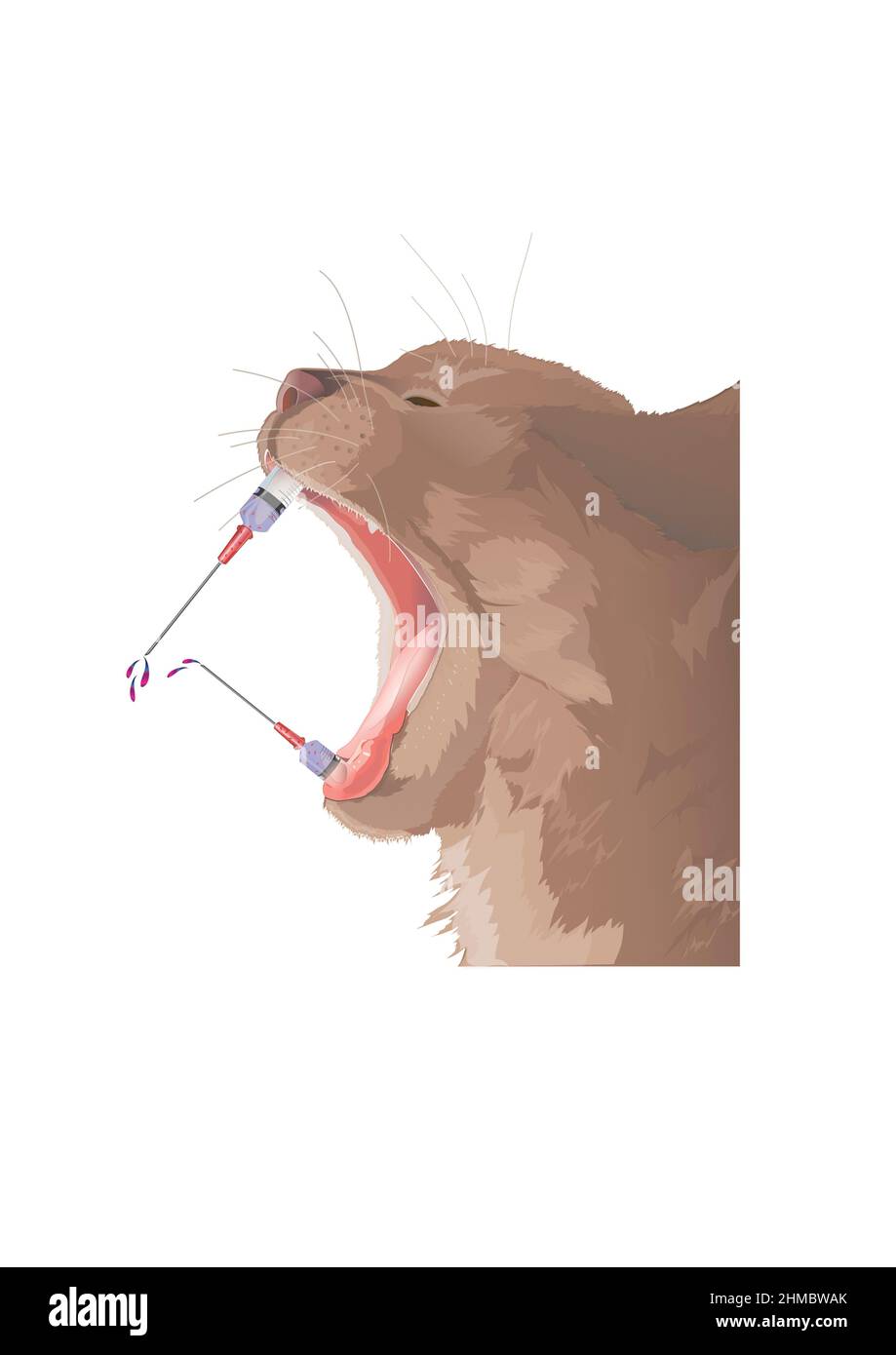 Cat bite, illustration Stock Photo - Alamy