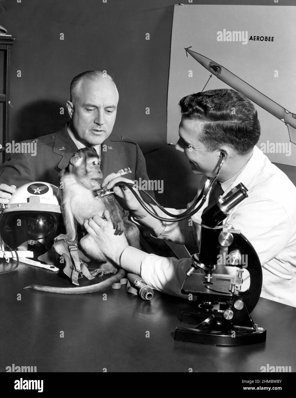 Examining monkey after flight on Aerobee rocket Stock Photo - Alamy