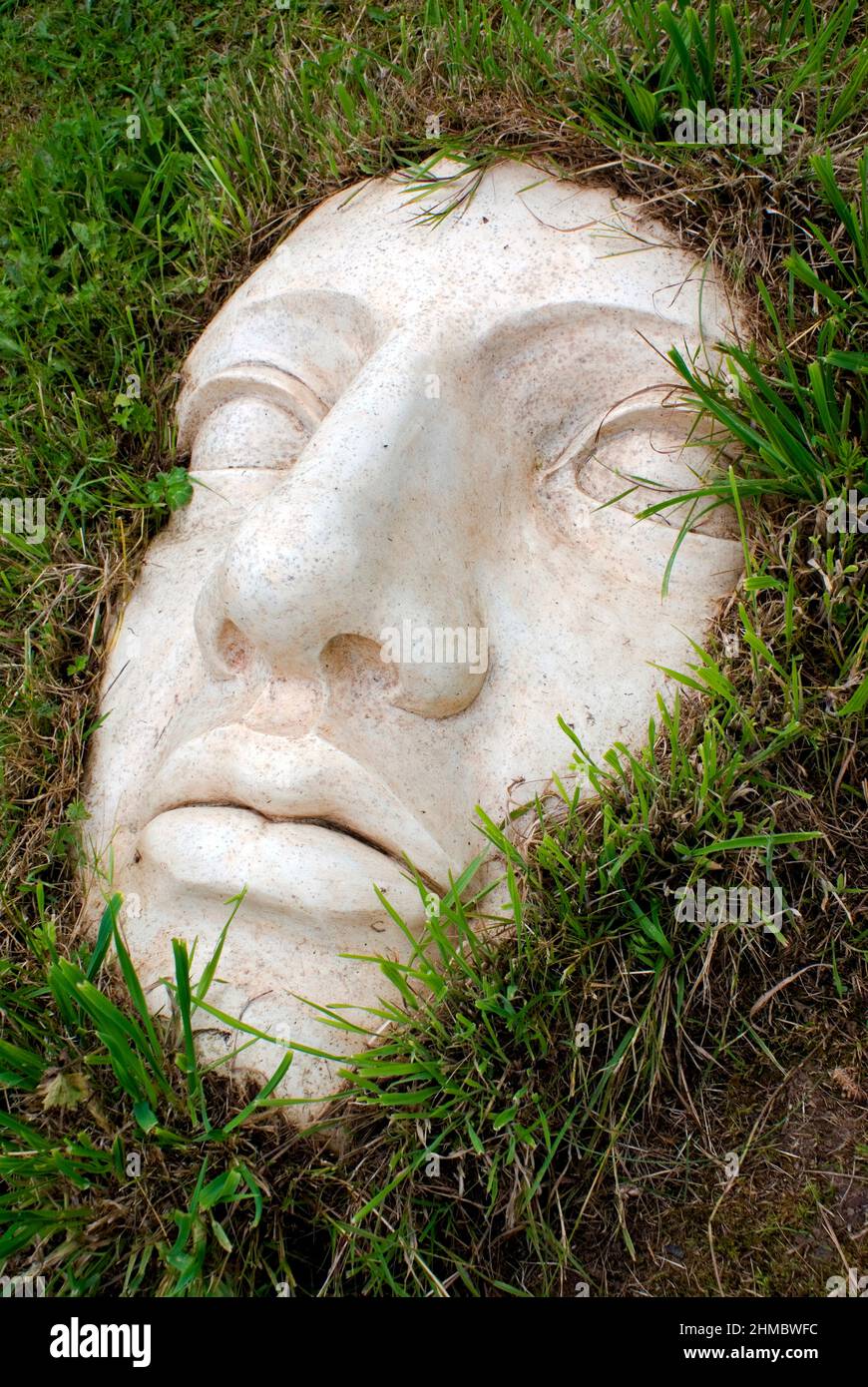 Face in the grass Stock Photo - Alamy