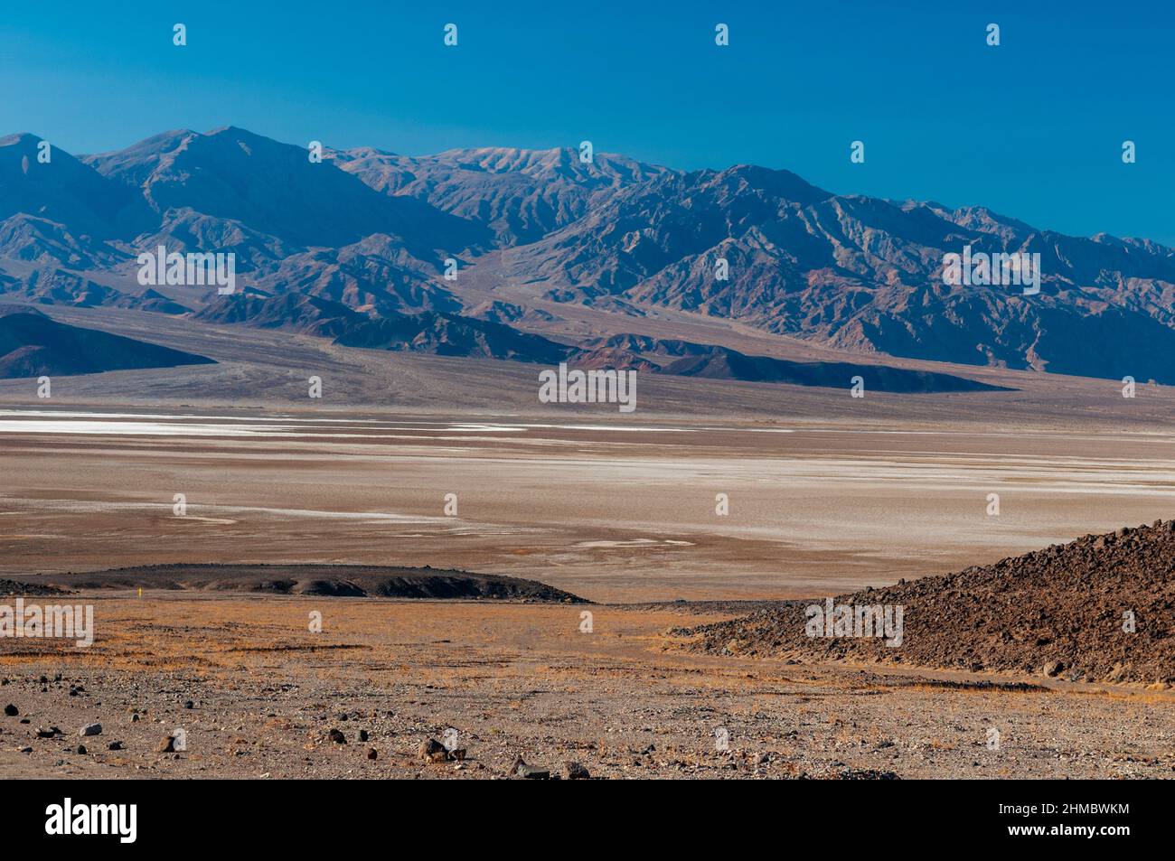 Salt pans in the basin of Death Valley, California, USA Stock Photo - Alamy