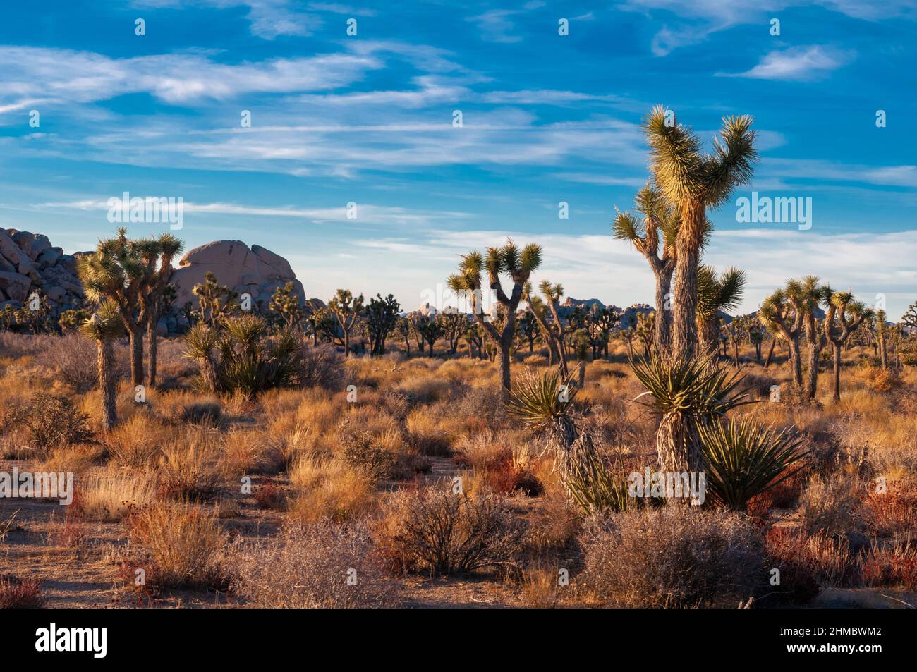 Hidden Valley, Joshua Tree National Park, California, USA Stock Photo ...