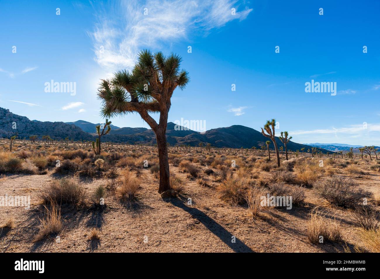 Hidden Valley, Joshua Tree National Park, California, USA Stock Photo ...