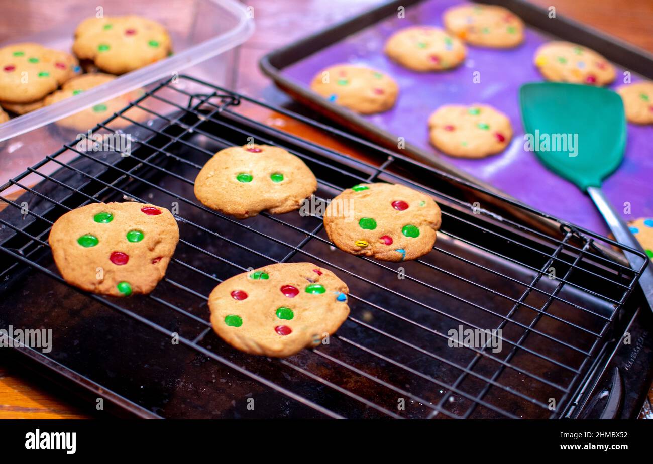 Extra large candy cookies are made with candy dots, and the first ...
