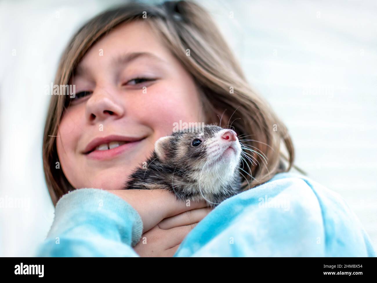 Pet ferret with children hi-res stock photography and images - Alamy