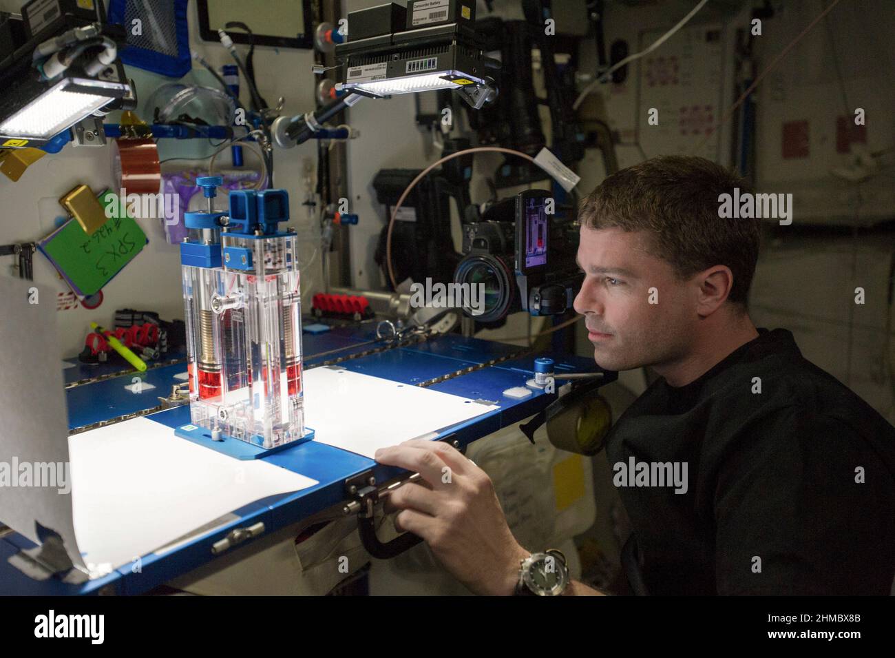 Astronaut conducting experiment on ISS Stock Photo - Alamy