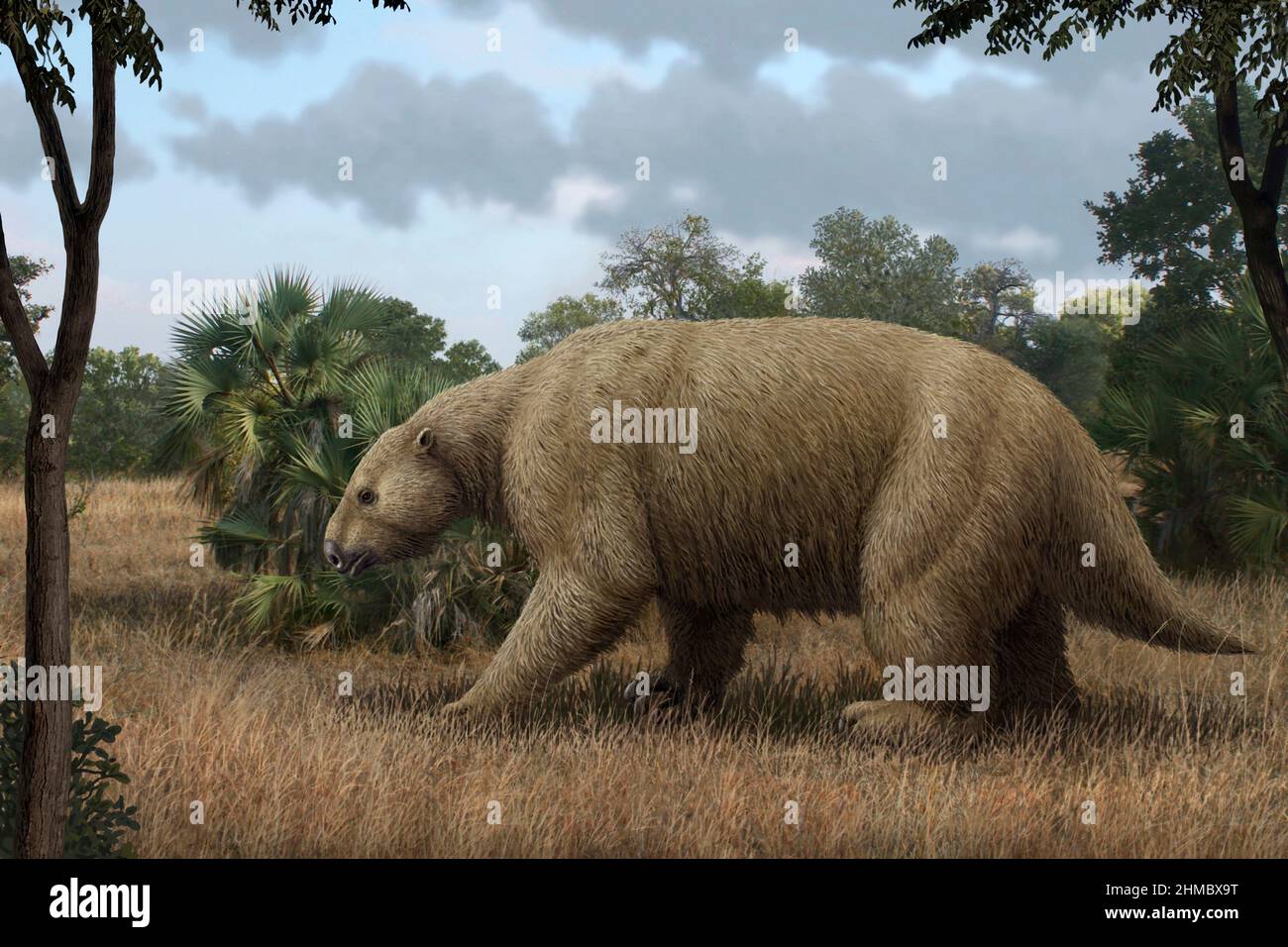Giant ground sloth, illustration Stock Photo - Alamy
