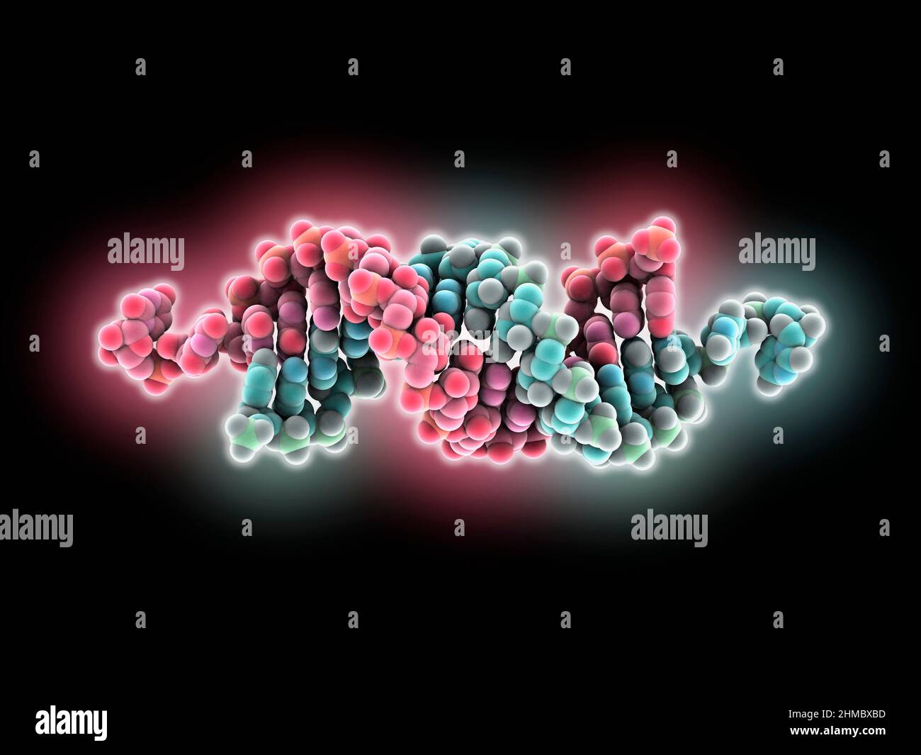 Small interfering RNA, molecular model Stock Photo - Alamy Small interfering RNA, molecular model Stock Photo - Alamy