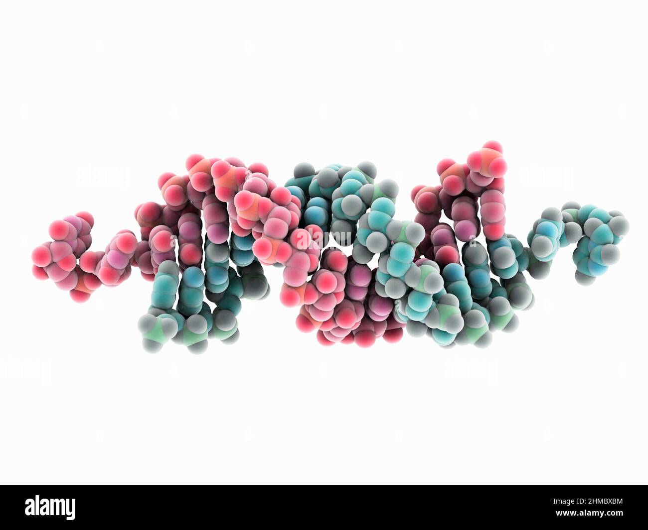 Small interfering RNA, molecular model Stock Photo - Alamy Small interfering RNA, molecular model Stock Photo - Alamy