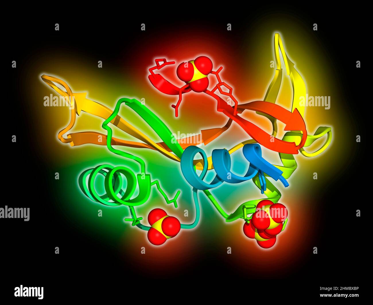 Human angiogenin ALS variant, molecular model Stock Photo - Alamy