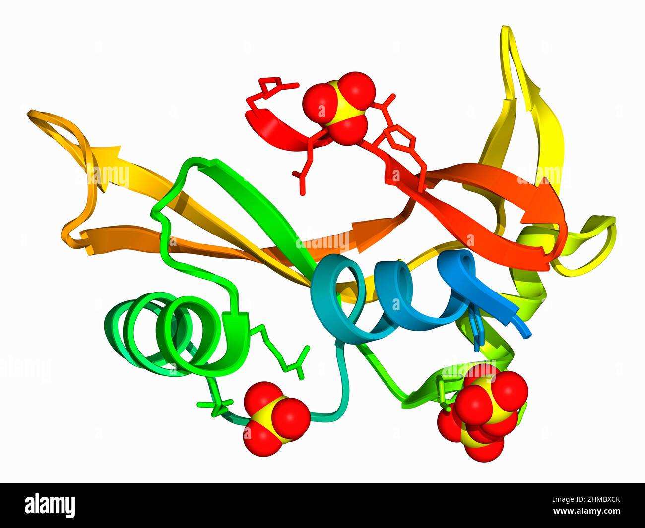 Human angiogenin ALS variant, molecular model Stock Photo - Alamy