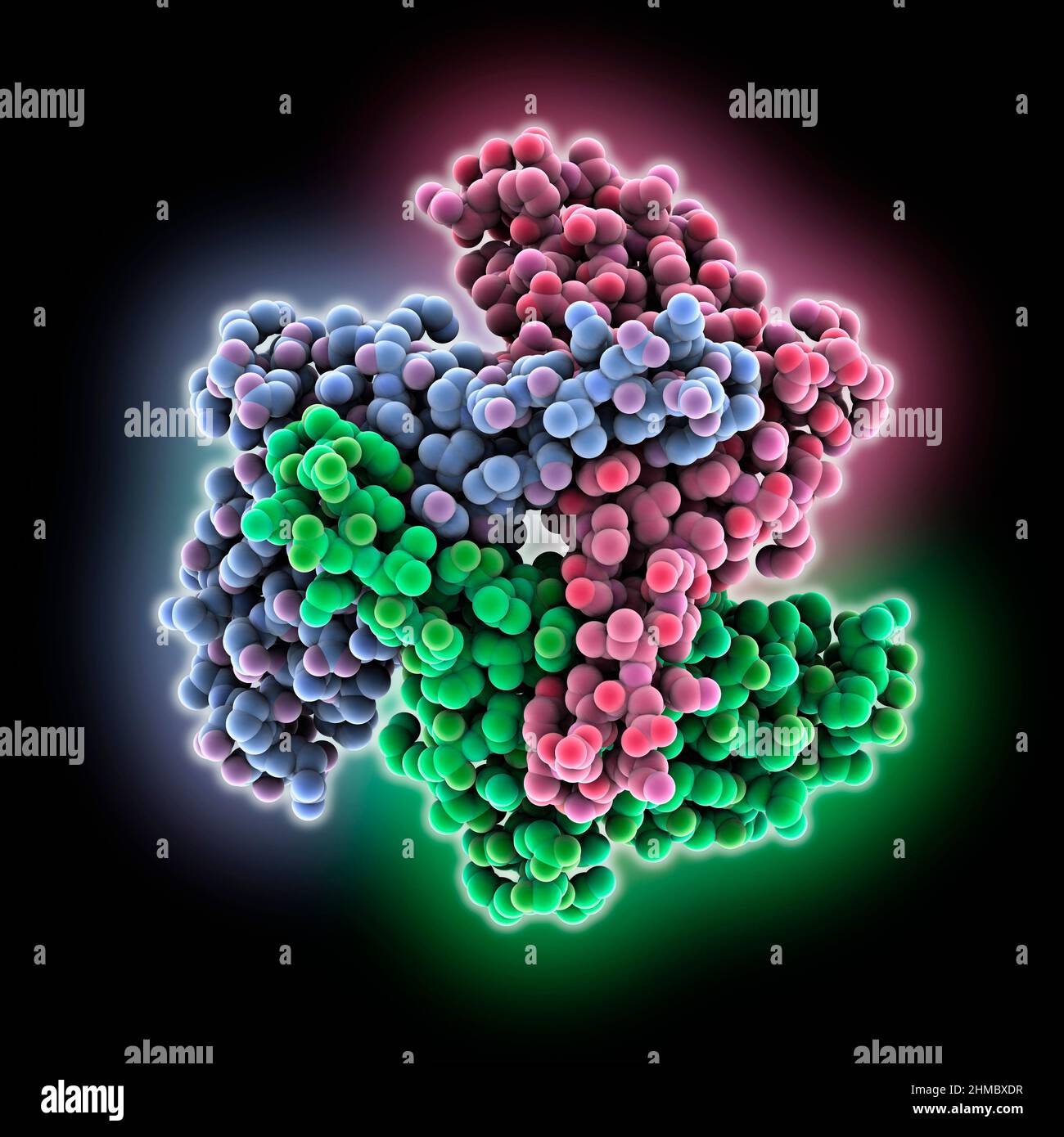 Trimeric bacteriophage capsid structure, molecular model Stock Photo ...
