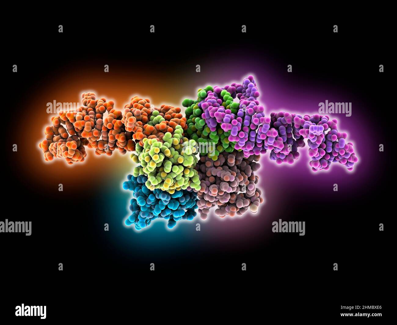 Methyltransferase ribozyme RNA complex, molecular model Stock Photo - Alamy