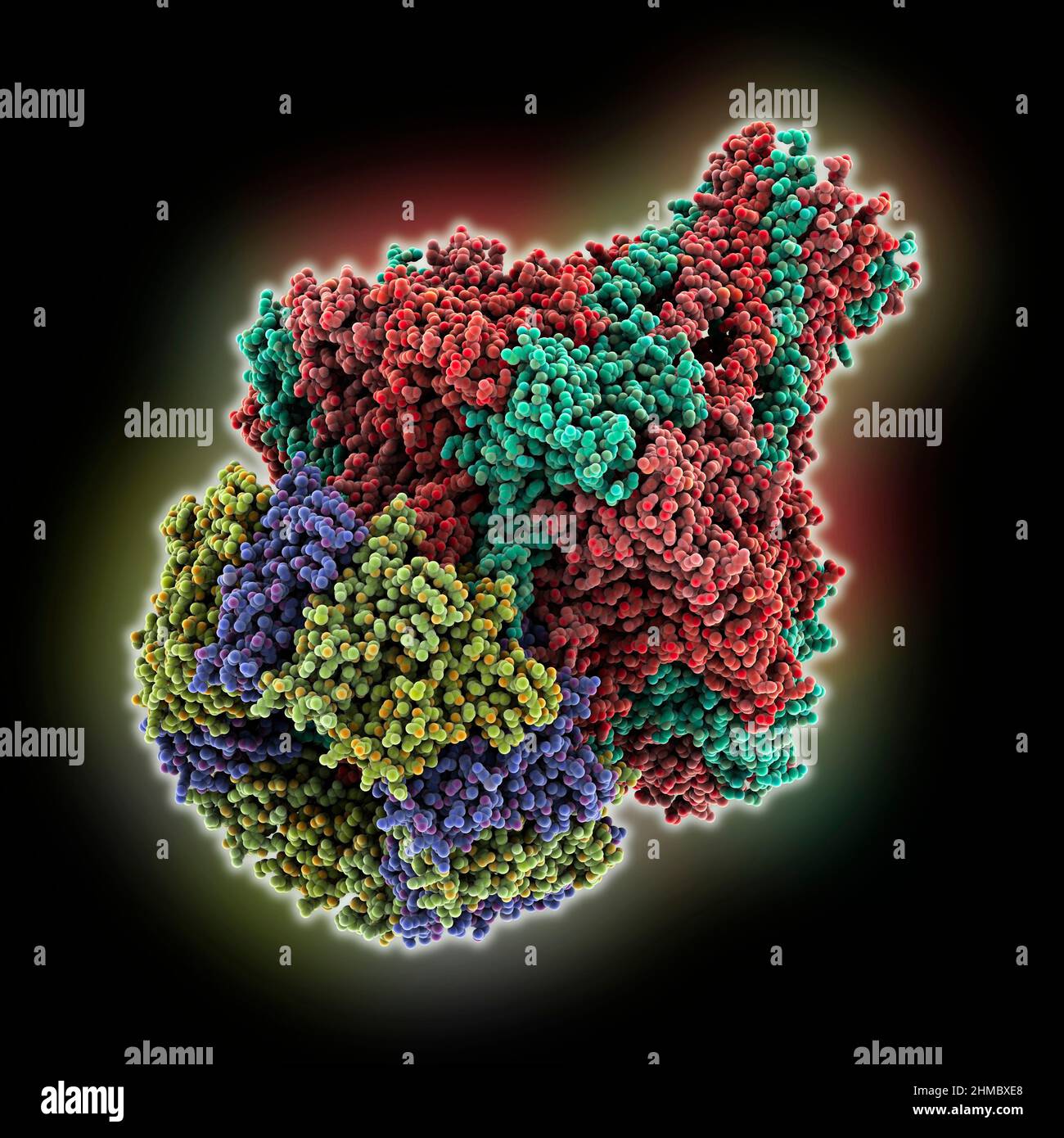 Cyanophage Pam1 portal-adaptor complex, molecular model Stock Photo - Alamy