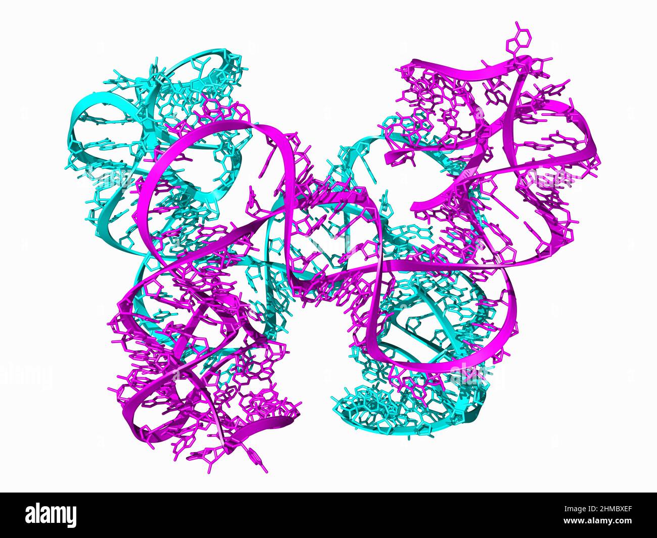 Artificial homomeric RNA nanoarchitecture, molecular model Stock Photo ...