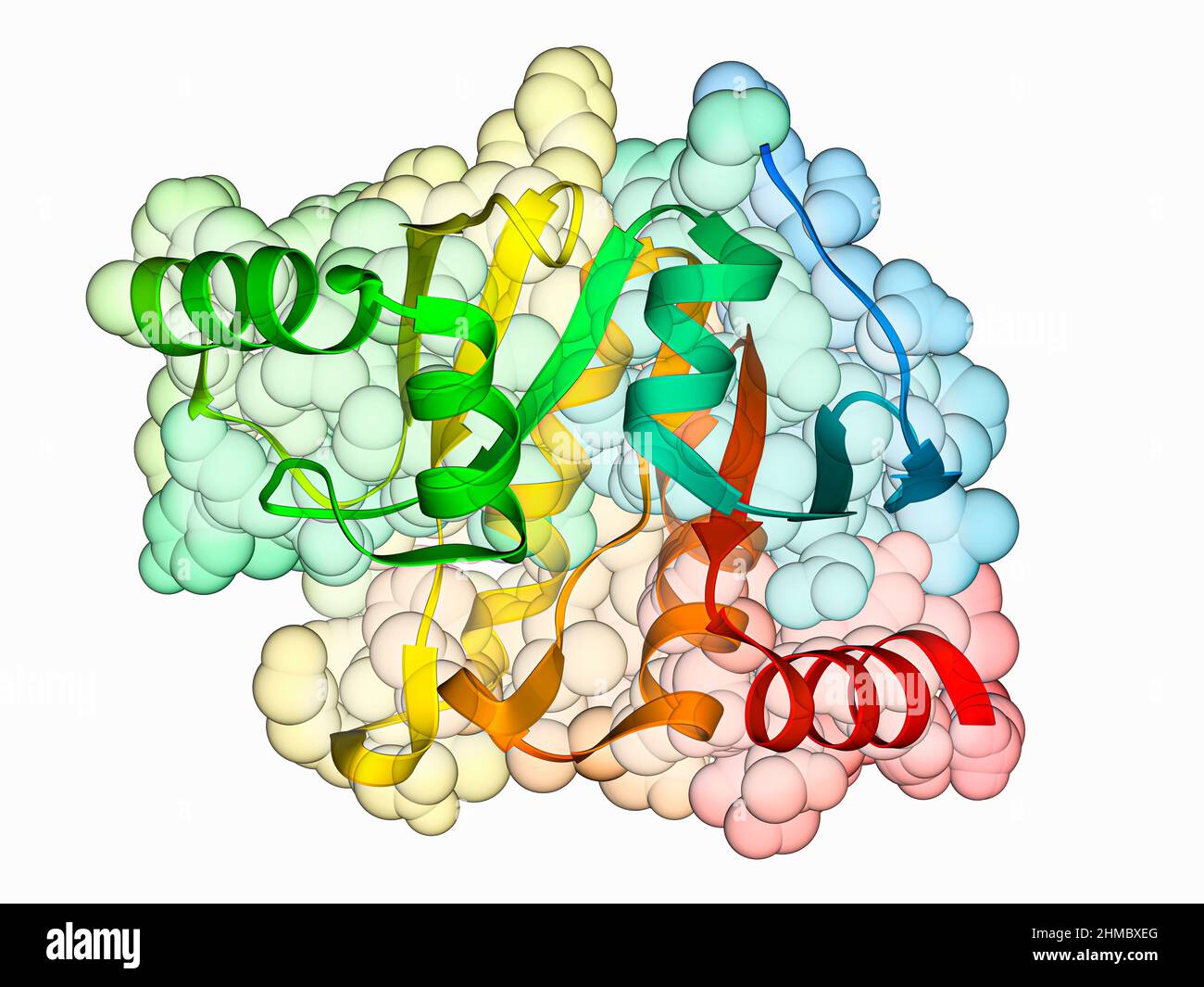 SARS-CoV-2 nonstructural protein 3, molecular model Stock Photo - Alamy