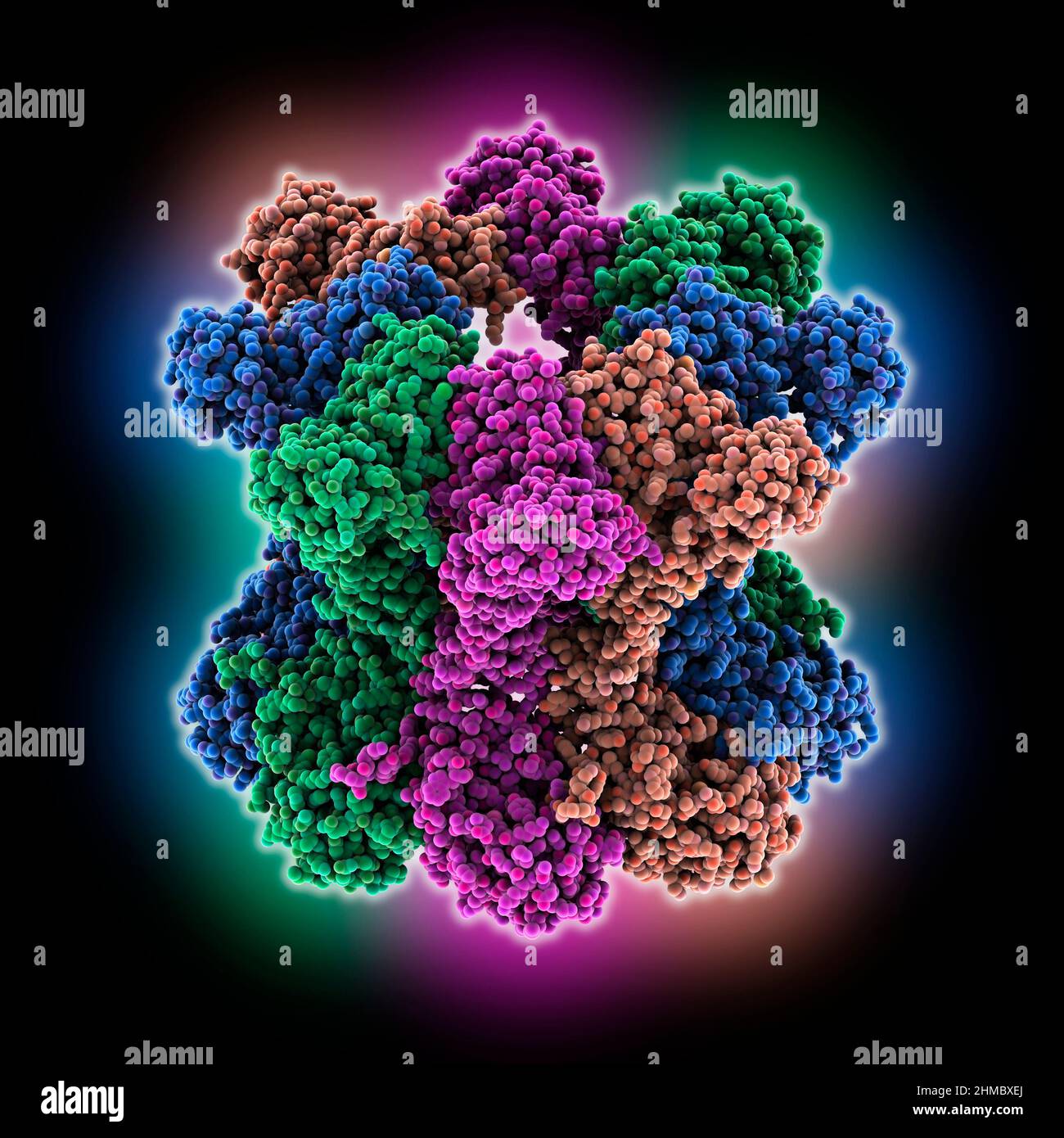 Transmembrane protein Wzc, molecular model Stock Photo - Alamy