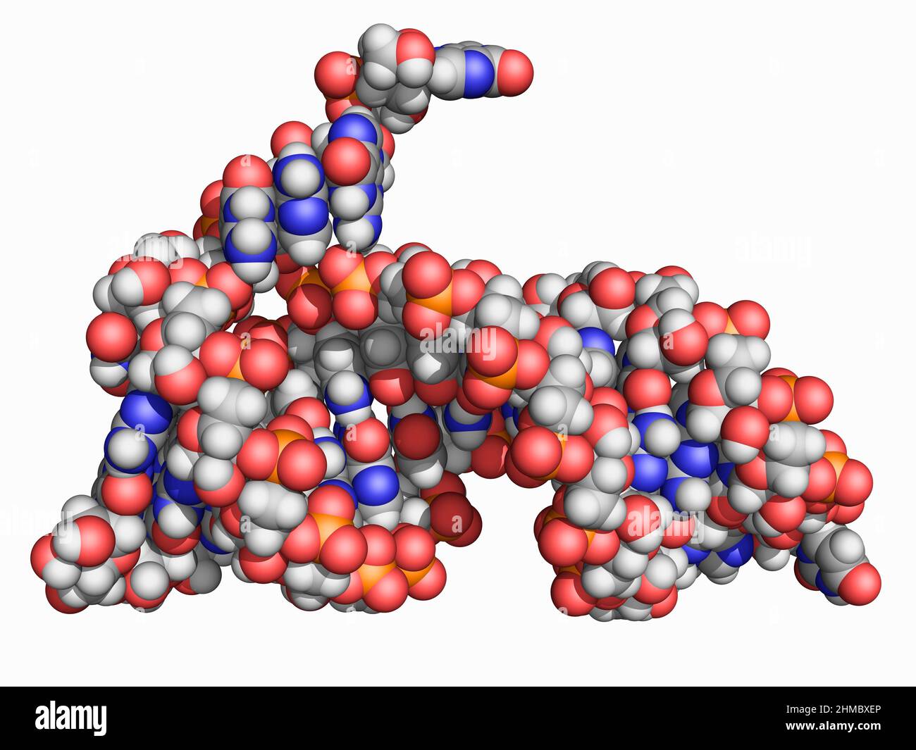 Dengue virus RNA stemloop A, molecular model Stock Photo - Alamy