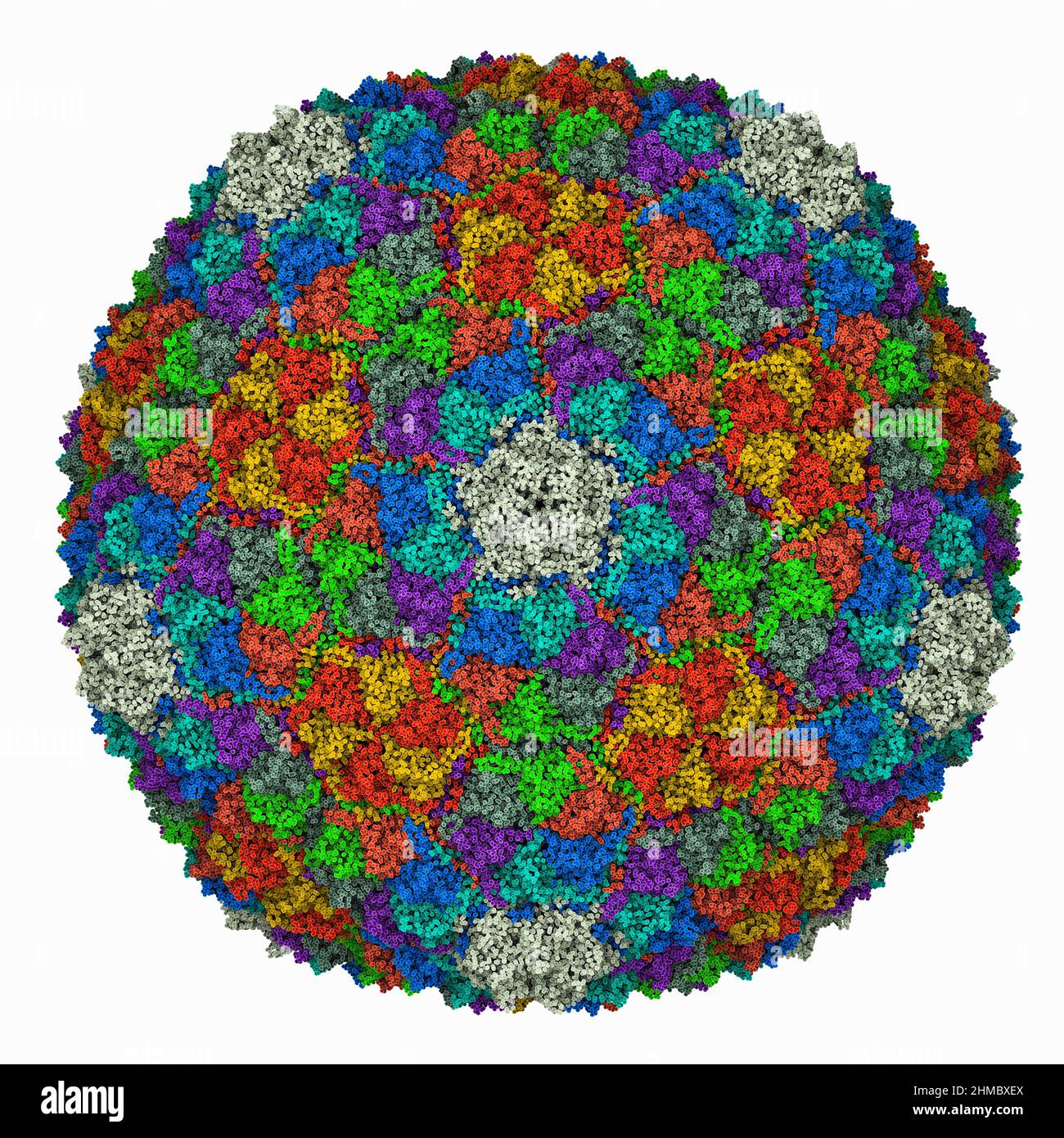 Cyanophage capsid, molecular model Stock Photo - Alamy