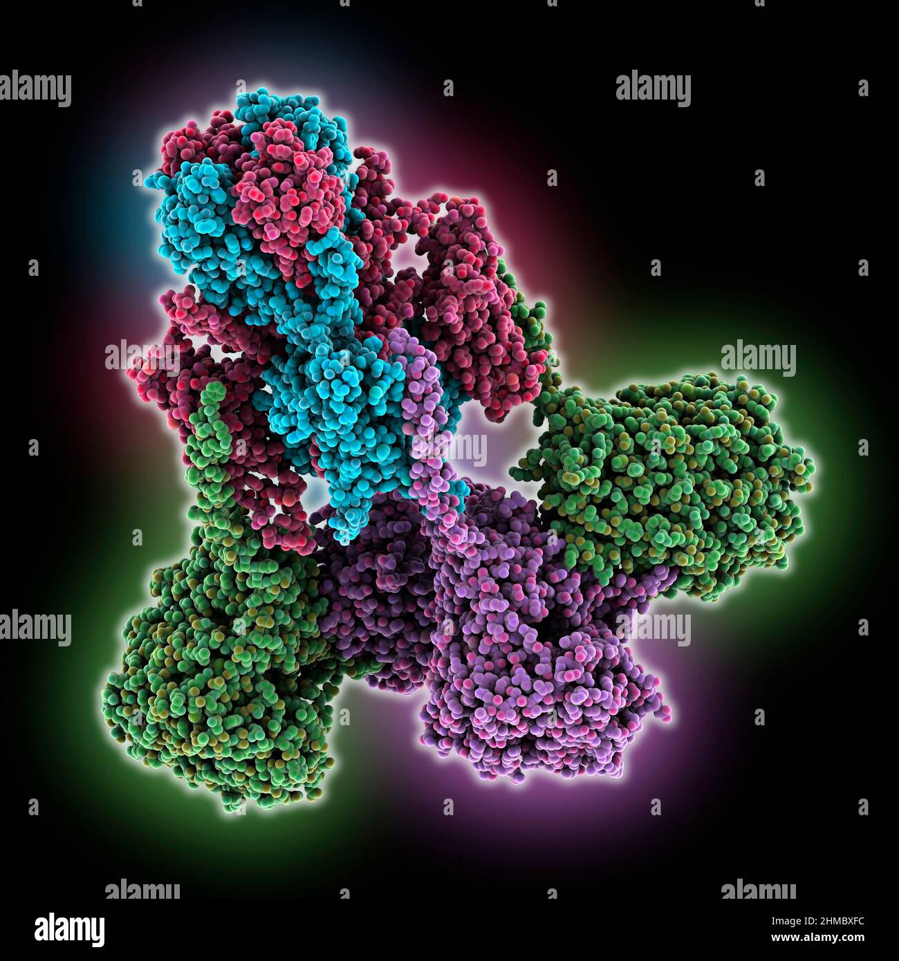 Voltage-gated potassium channel complex, molecular model Stock Photo ...