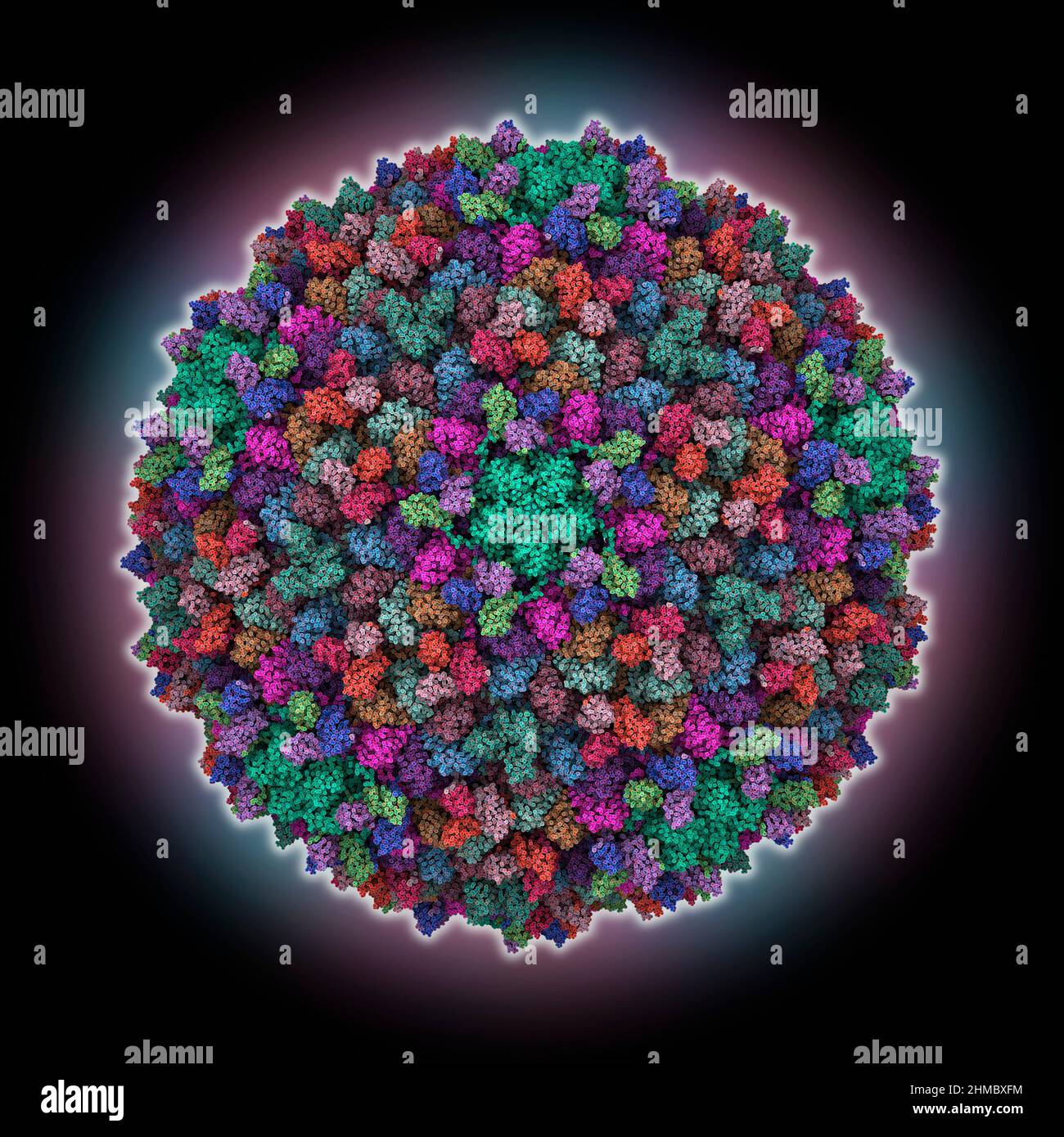Cyanophage Pam1 capsid, molecular model Stock Photo - Alamy