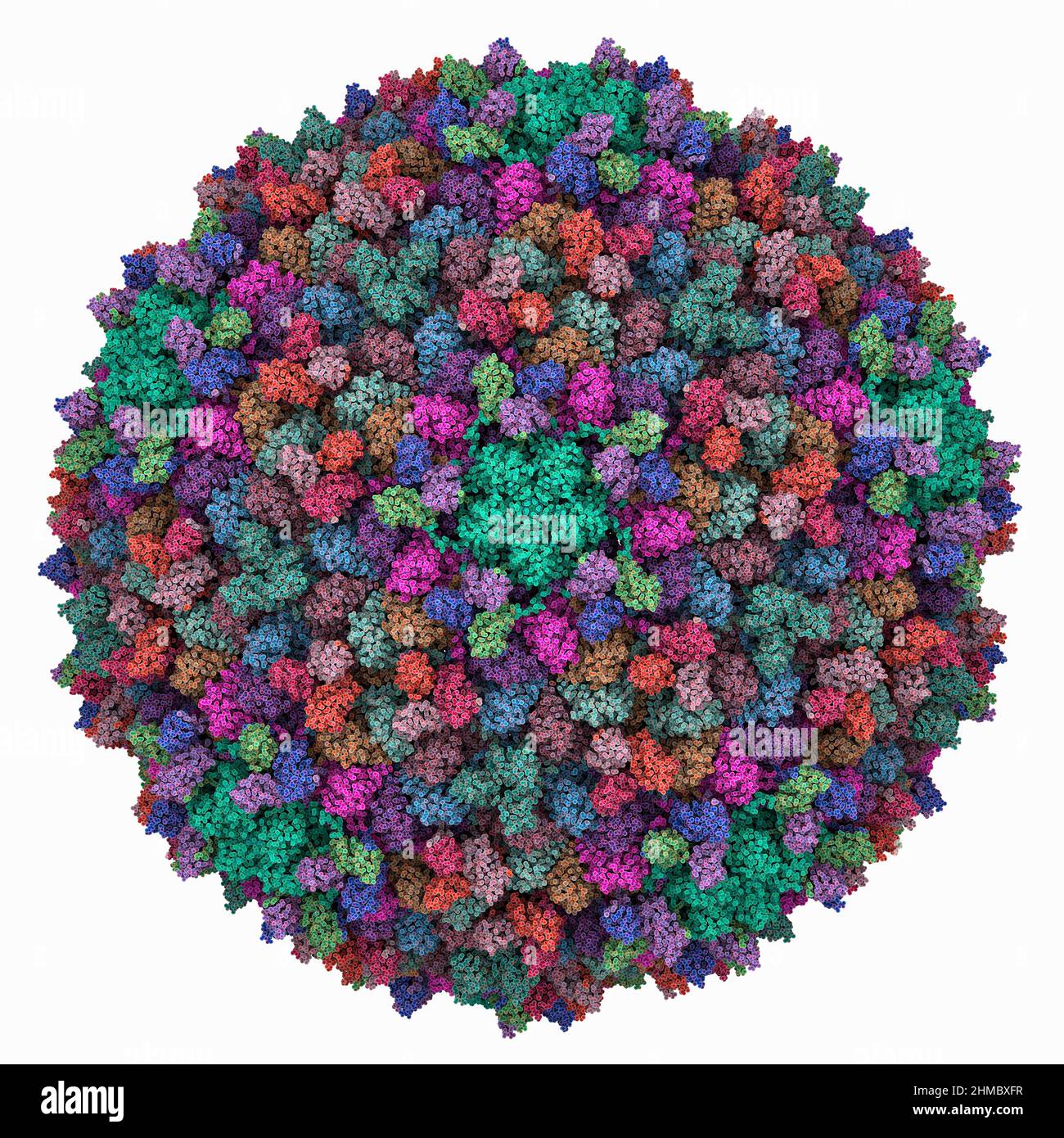Cyanophage Pam1 capsid, molecular model Stock Photo - Alamy