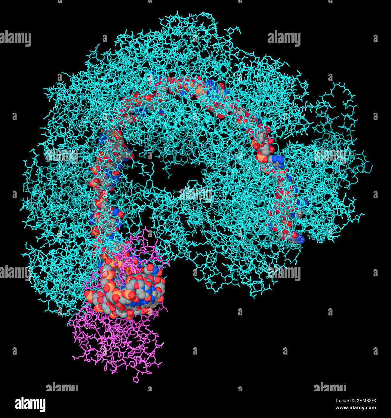 CRISPR-Cas complex, molecular model Stock Photo - Alamy