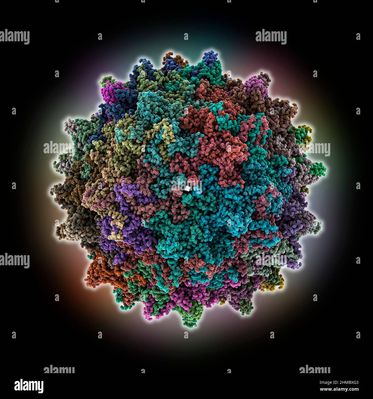 Adeno-associated virus 9 capsid, molecular model Stock Photo - Alamy