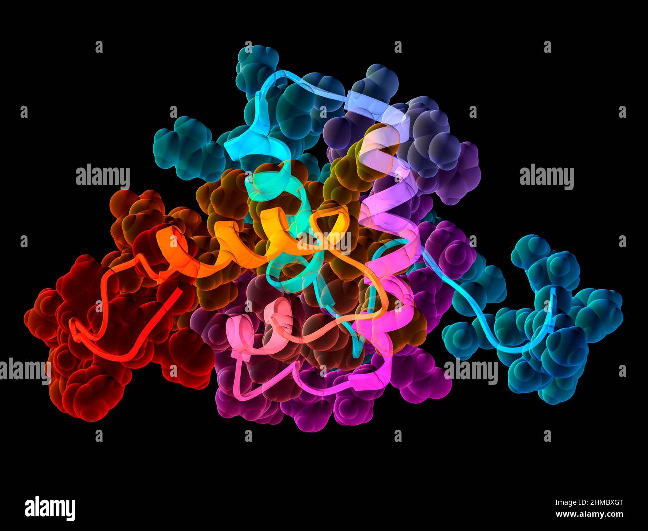 Human T-cell Leukaemia virus 1 protein, molecular model Stock Photo - Alamy