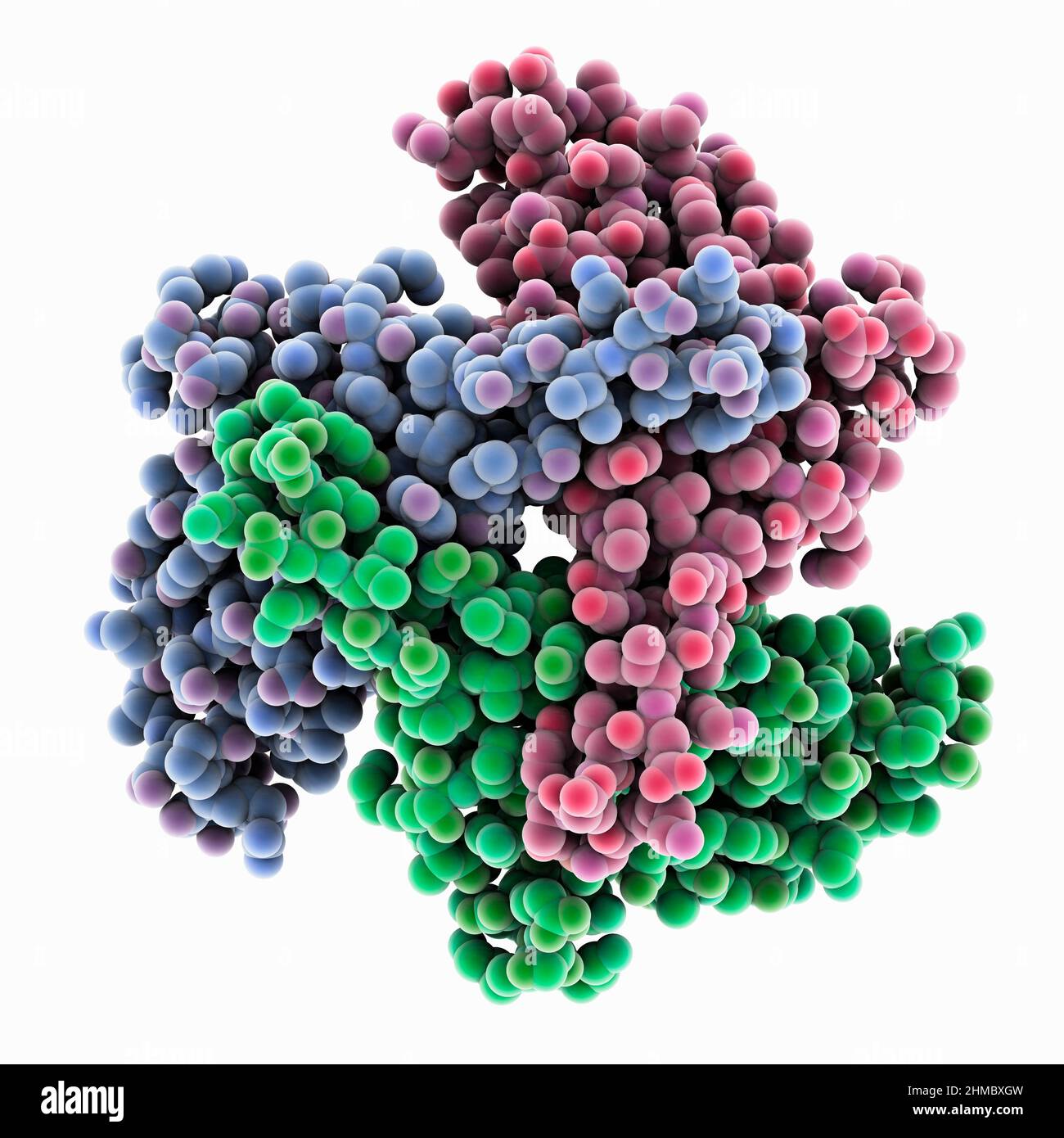 Trimeric bacteriophage capsid structure, molecular model Stock Photo ...