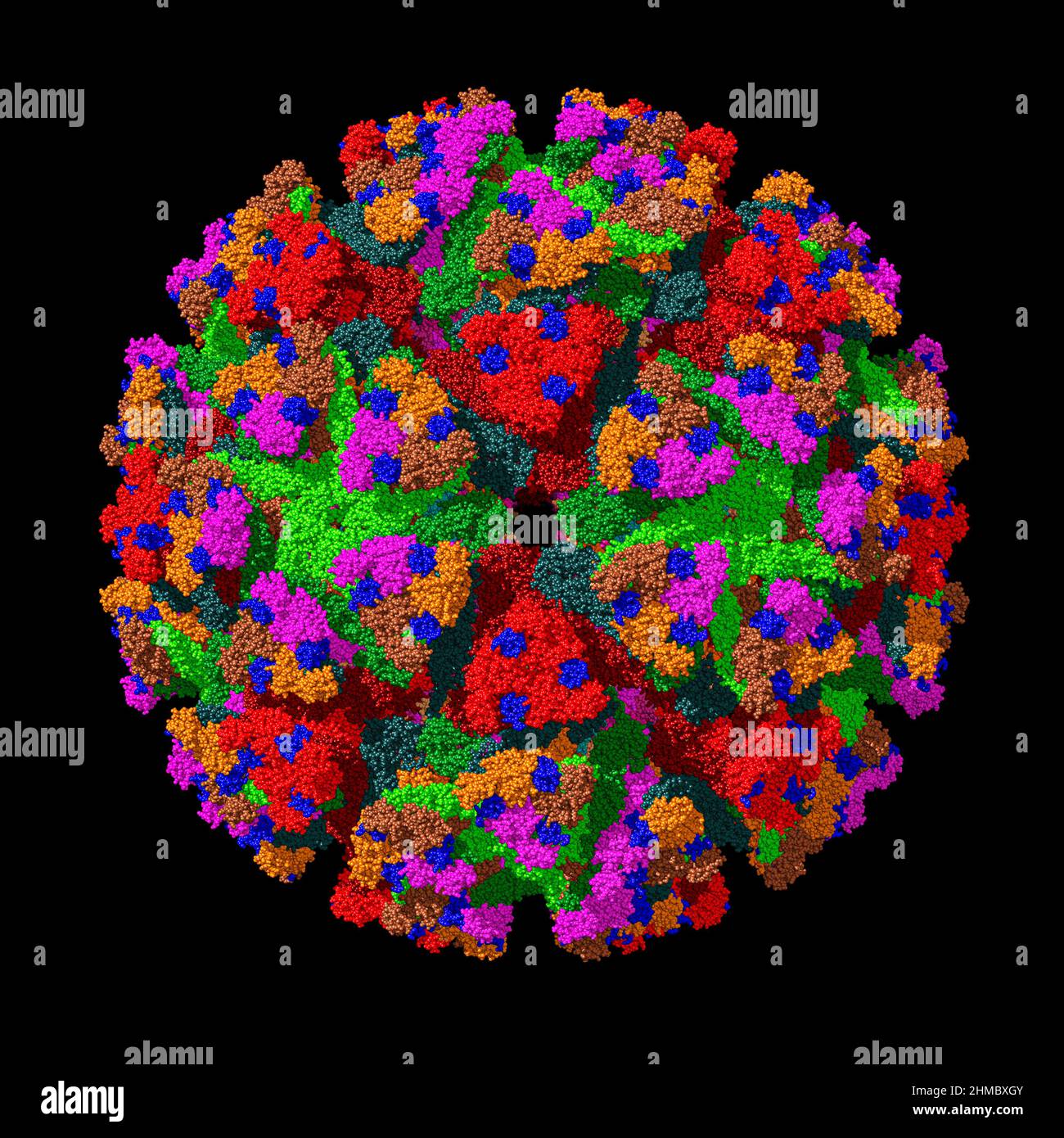 Venezuelan equine encephalitis virus, molecular model Stock Photo - Alamy