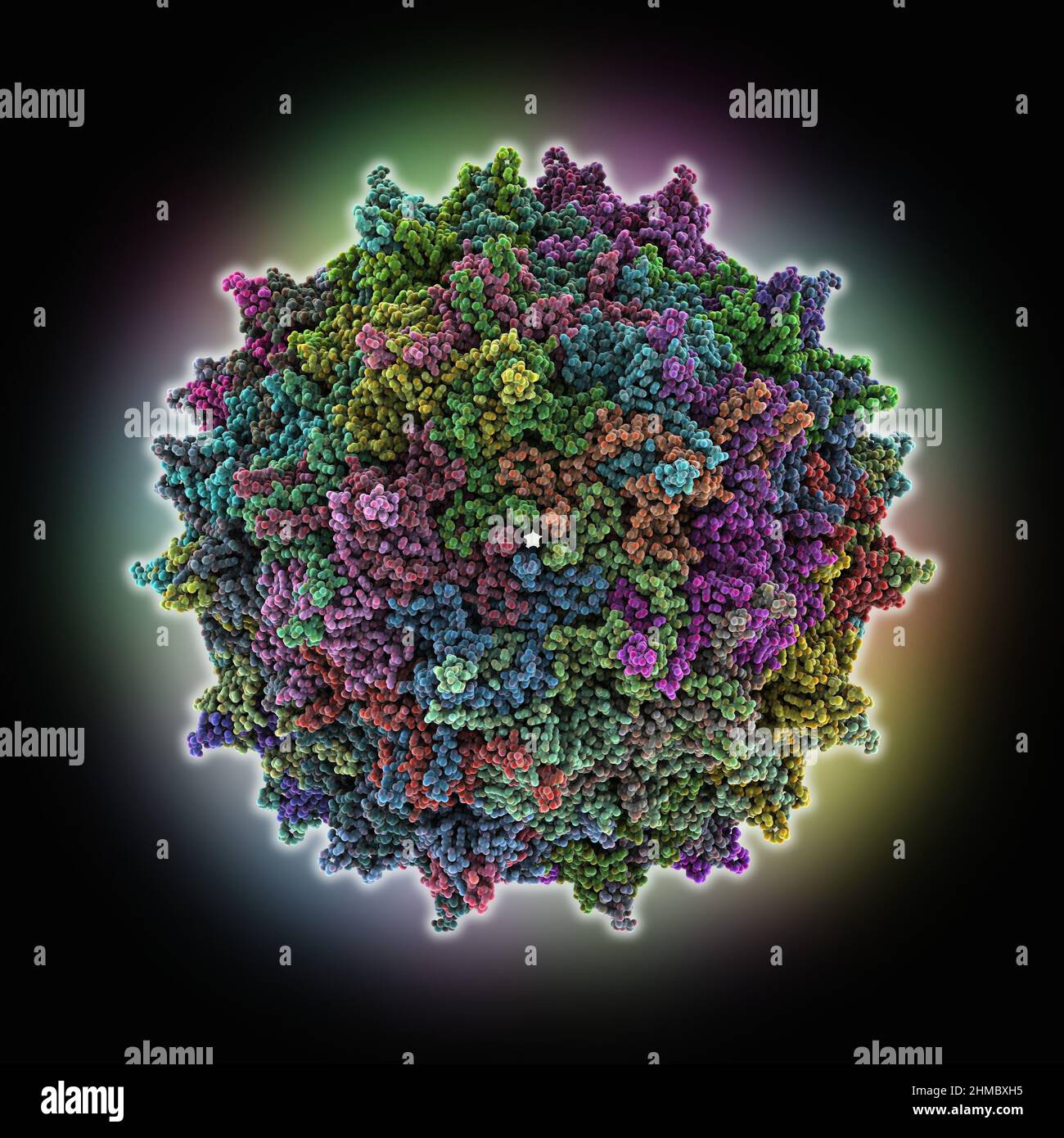 Adeno-associated true type virus capsid, molecular model Stock Photo ...