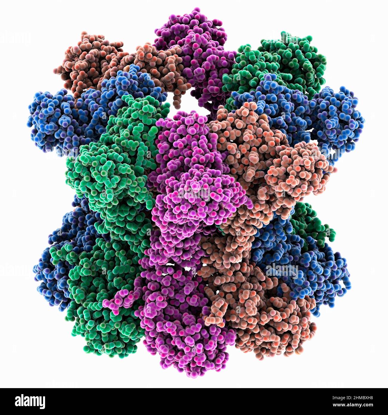 Transmembrane protein Wzc, molecular model Stock Photo - Alamy